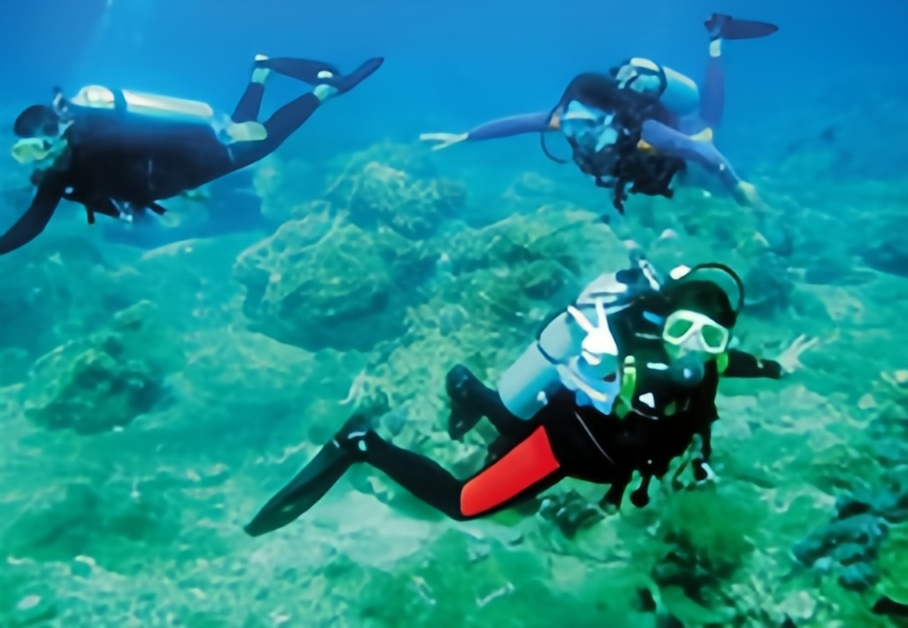 Exploring the Three Types of Diving: Free Diving, Scuba Diving